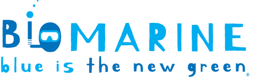 Los Únicos Popotes Biodegradables en Ambientes Marinos – BIOMARINE